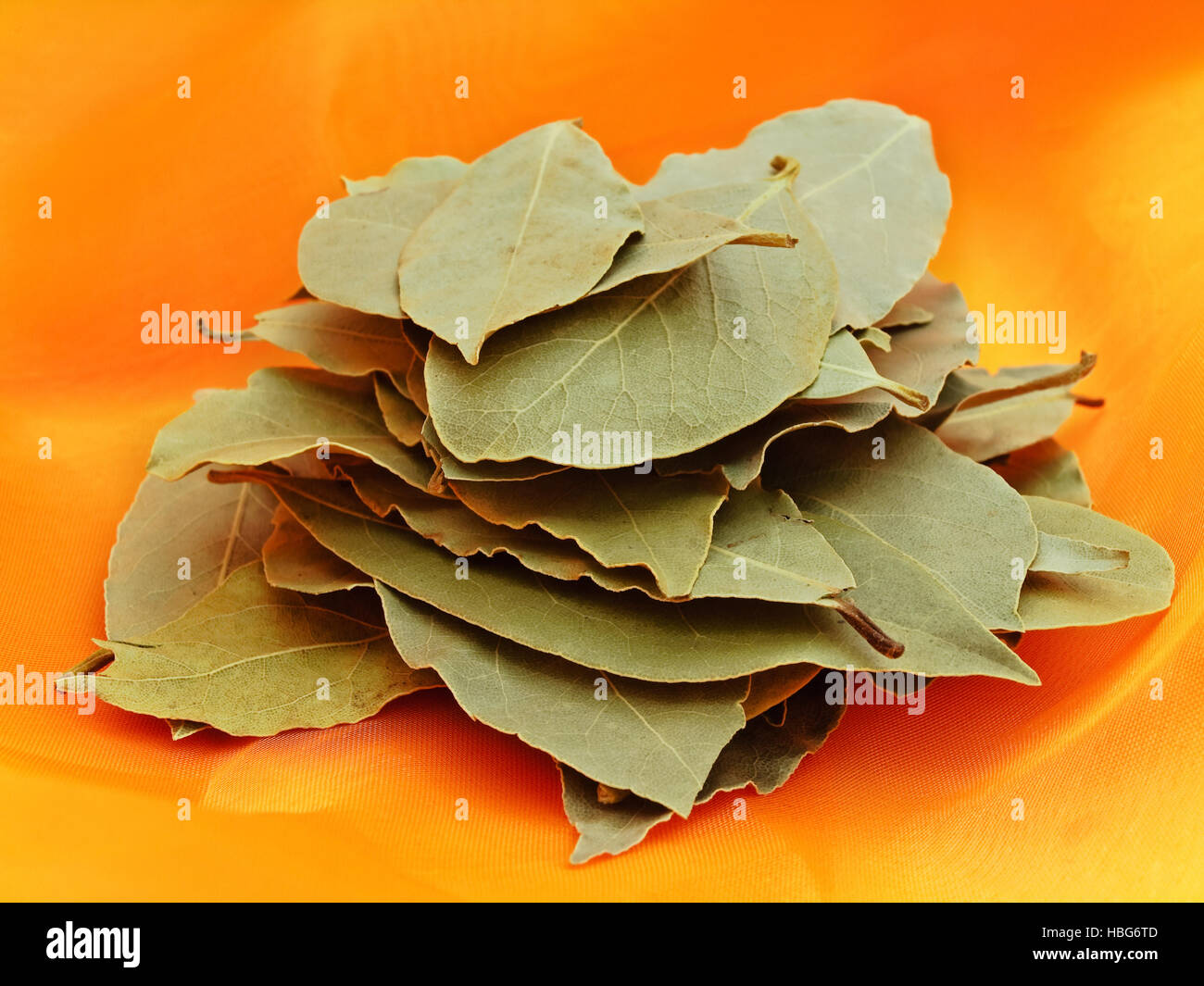 Brittle leaves hi-res stock photography and images - Alamy