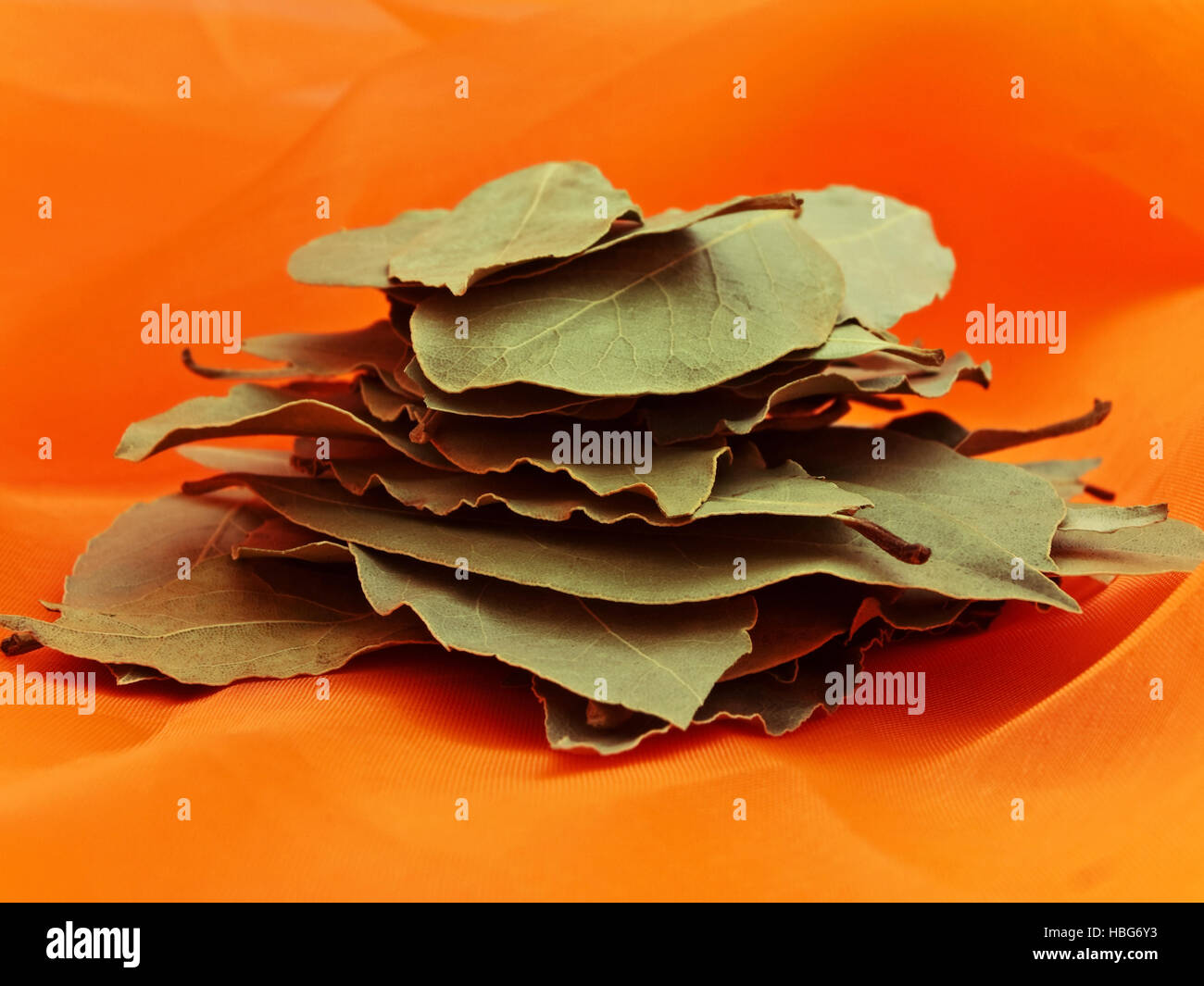 Brittle leaves hi-res stock photography and images - Alamy