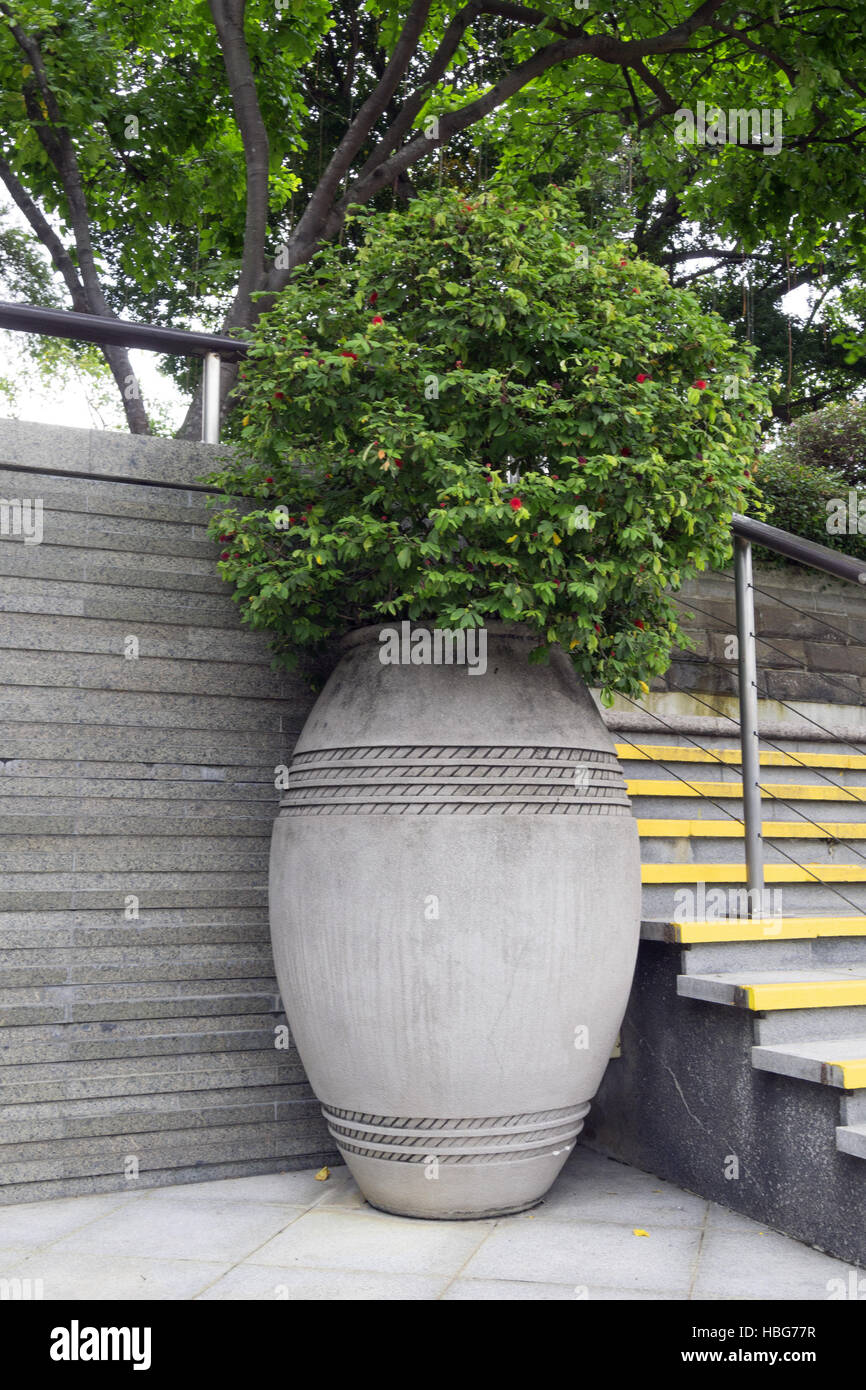 Pot plant detail hi-res stock photography and images - Alamy