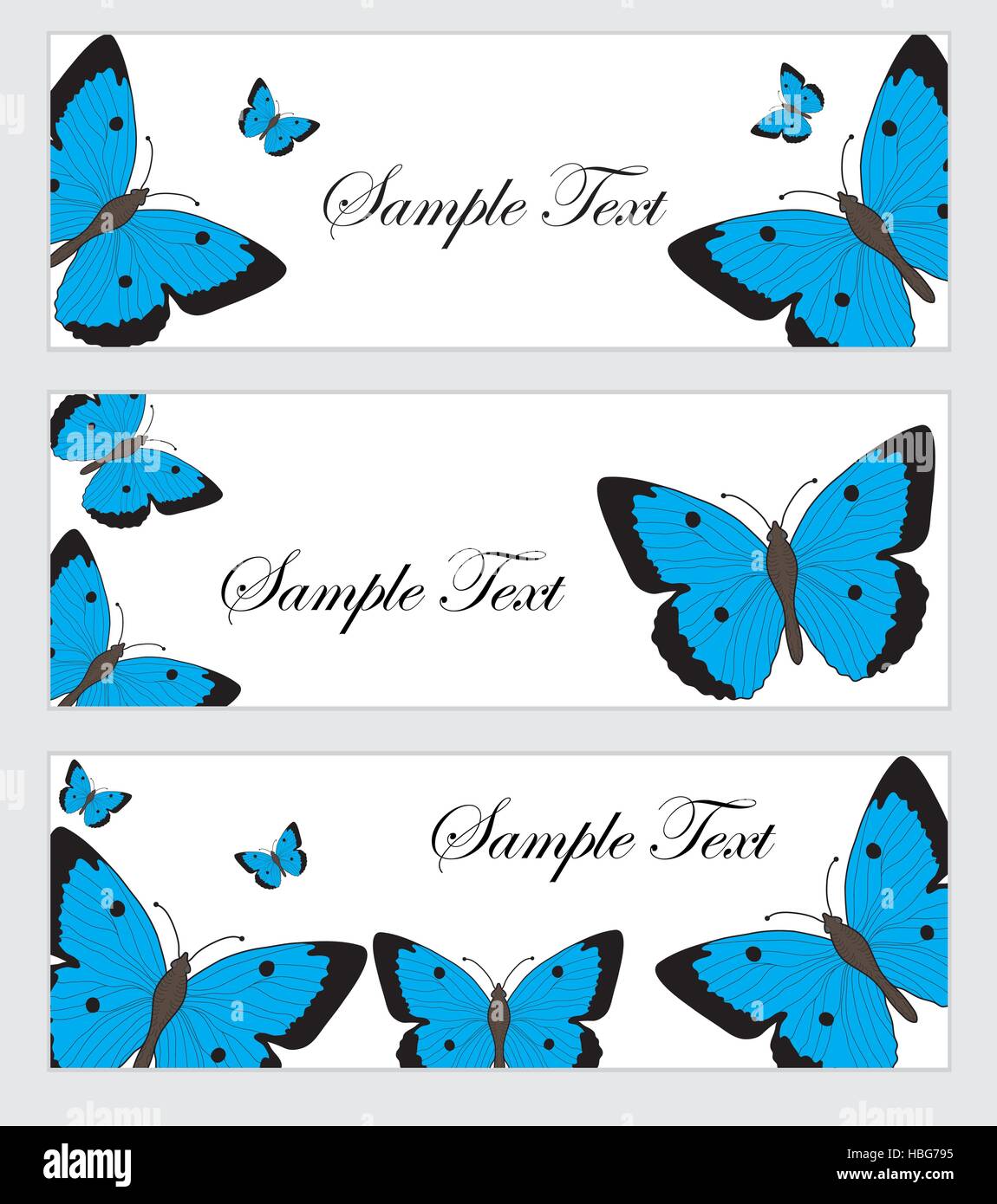Set butterflies banner. Banner template with butterflies. Colored ...