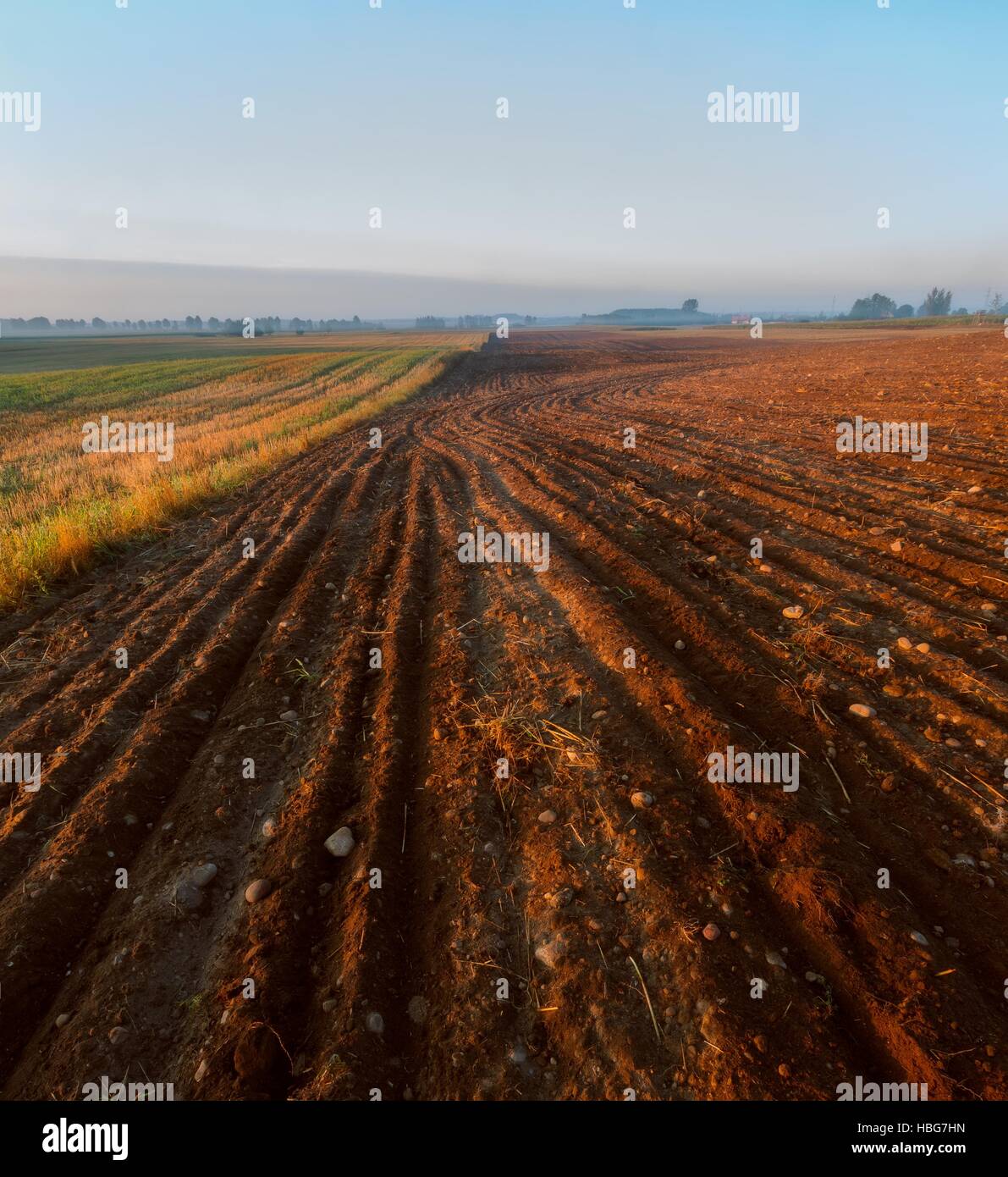 Sunrise over plowed field Stock Photo - Alamy