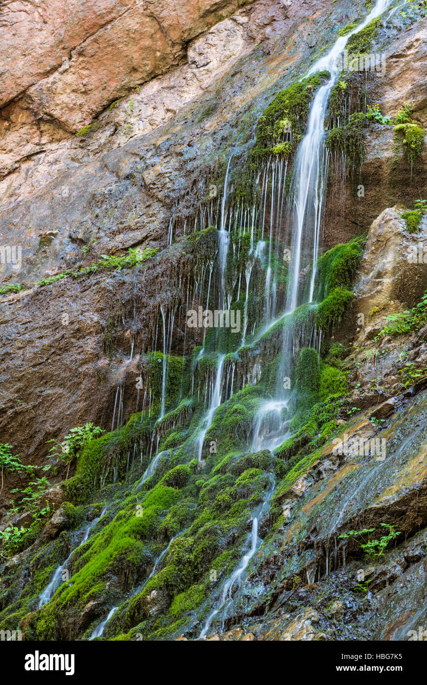 Waterfall on mossy slope in gorge, Wimbachklamm, Wimbachtal, Ramsau bei ...