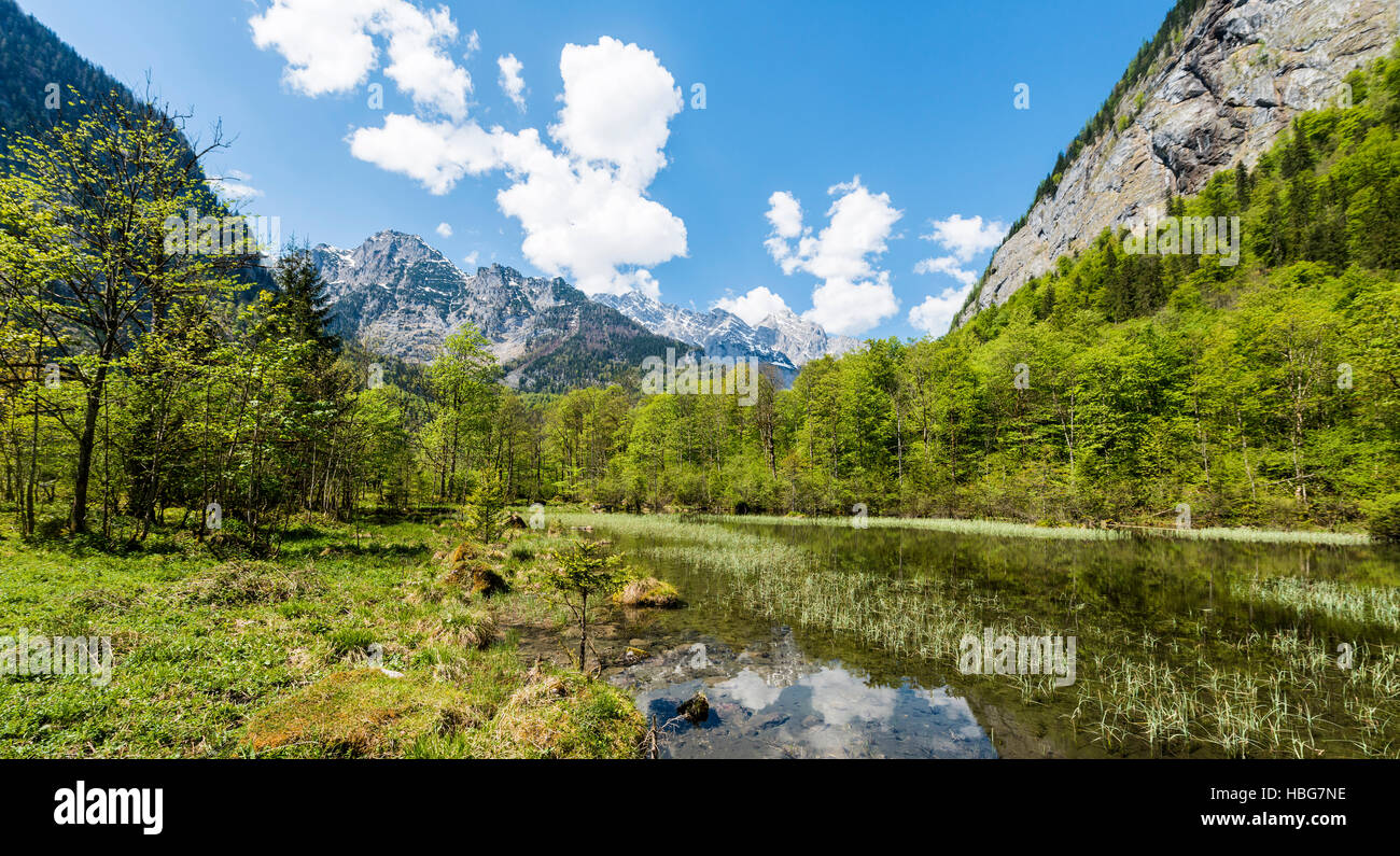 Saletbach, stream, Salet am Königssee, National Park Berchtesgaden ...