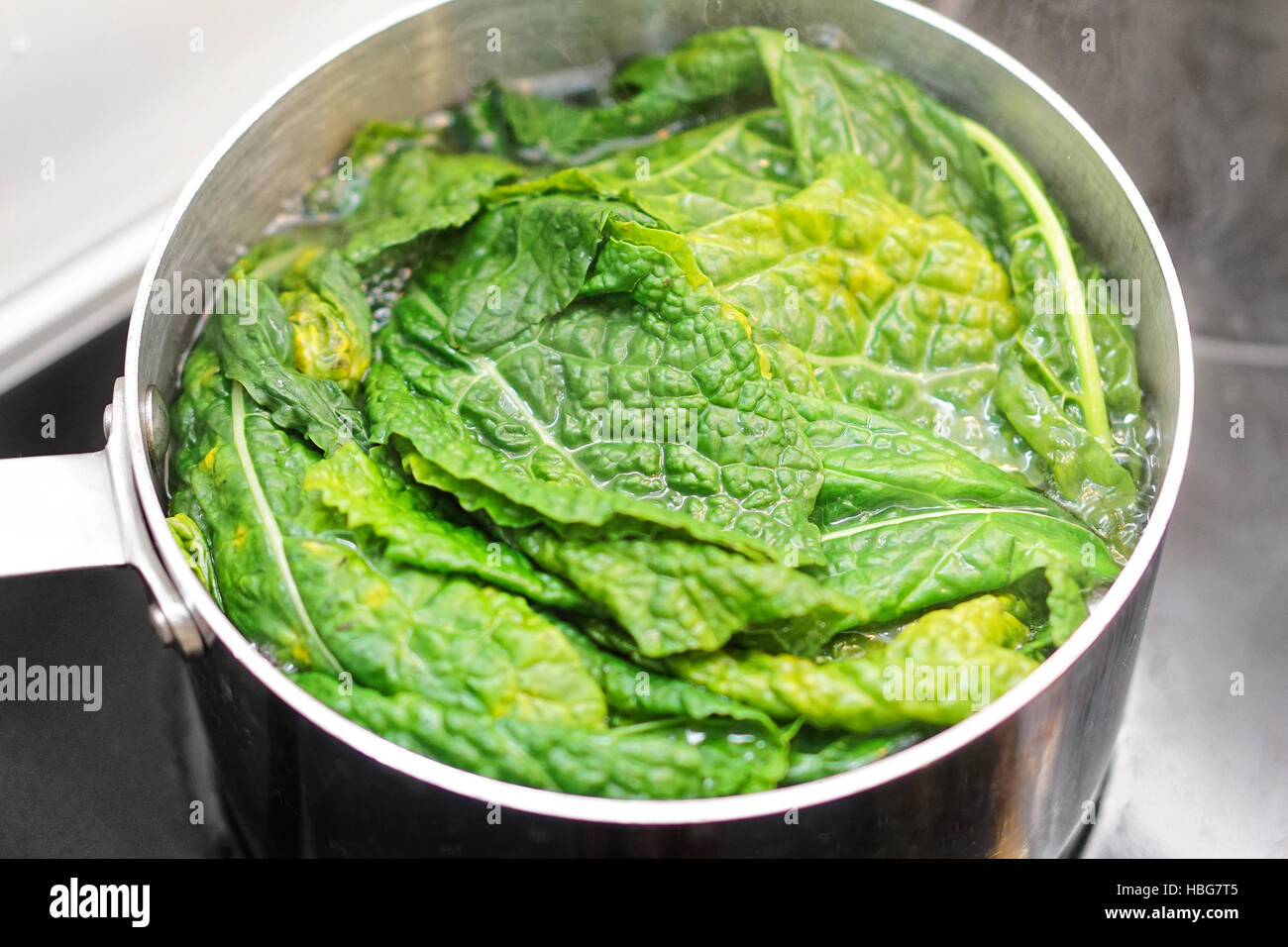 Boiling leaves hi-res stock photography and images - Alamy