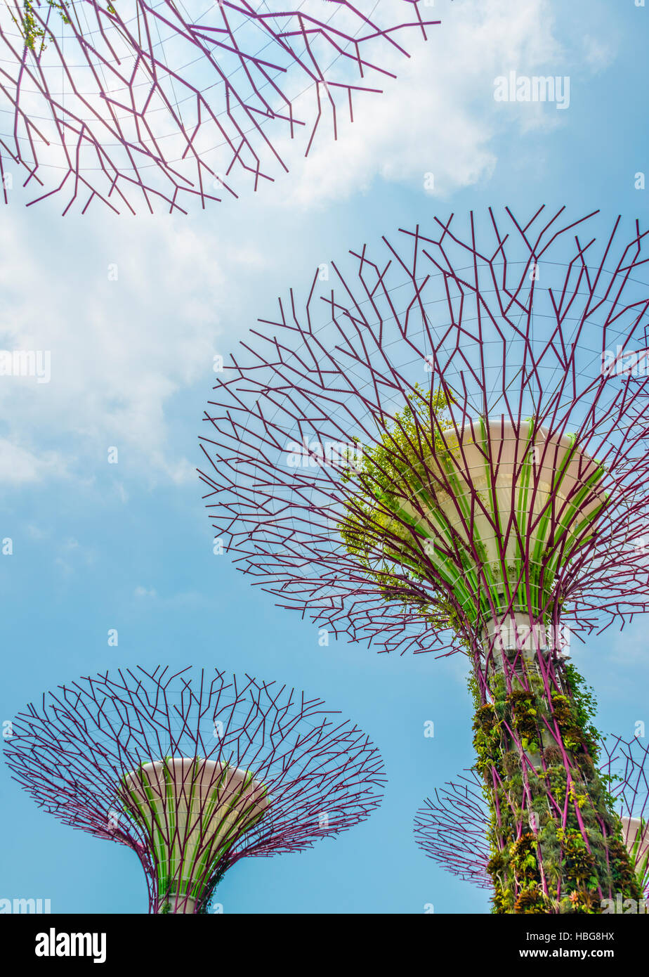 Futuristic supertrees hi-res stock photography and images - Alamy