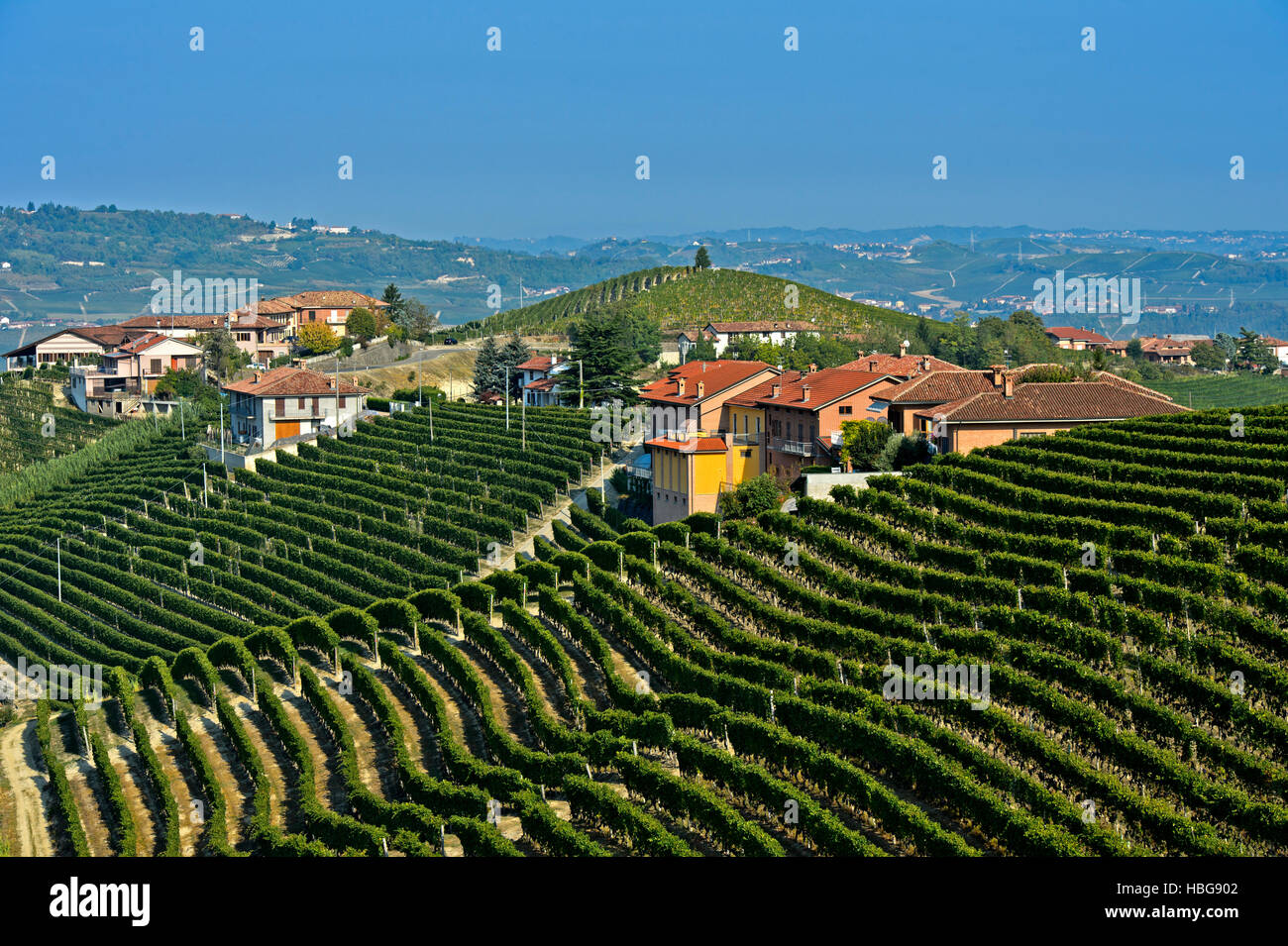Wine wine region hi-res stock photography and images - Alamy