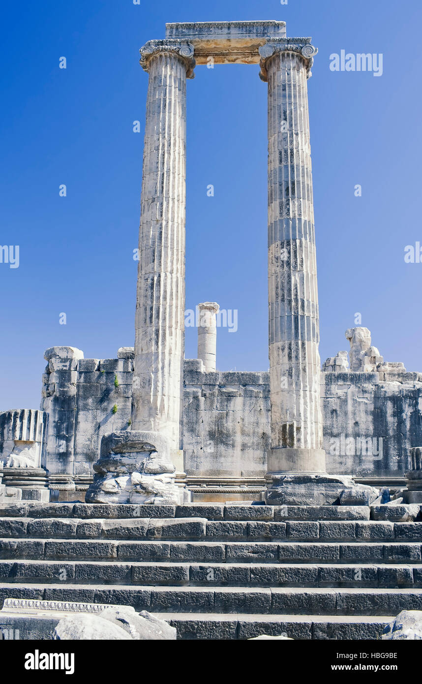 Columns of the Temple of Apollo, Didyma, Anatolia, Turkey Stock Photo ...