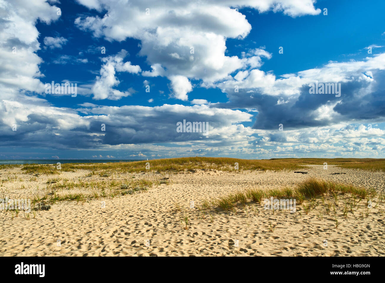 Sand dunes at Cape Cod Stock Photo - Alamy