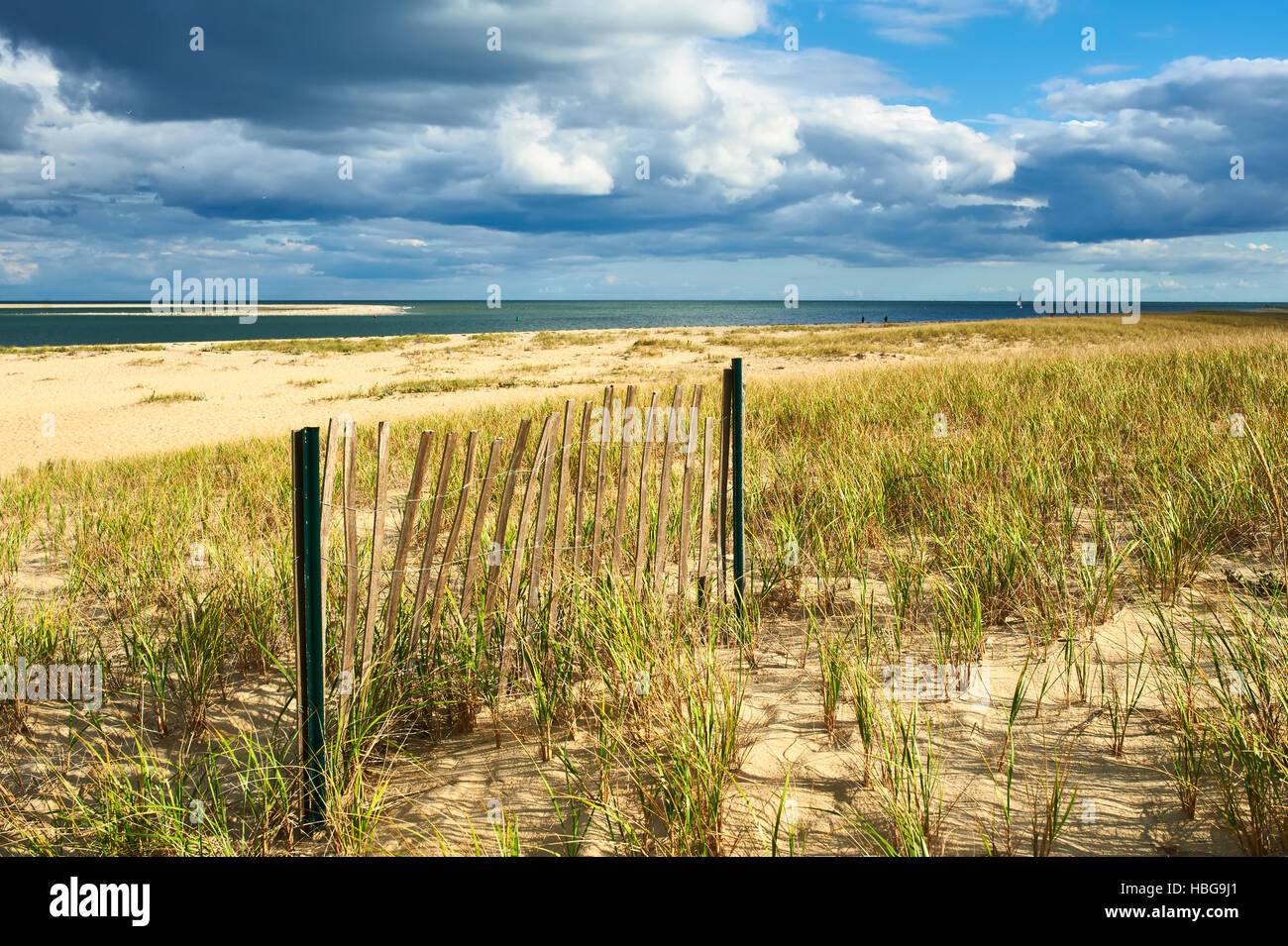 Sand dunes at Cape Cod Stock Photo - Alamy