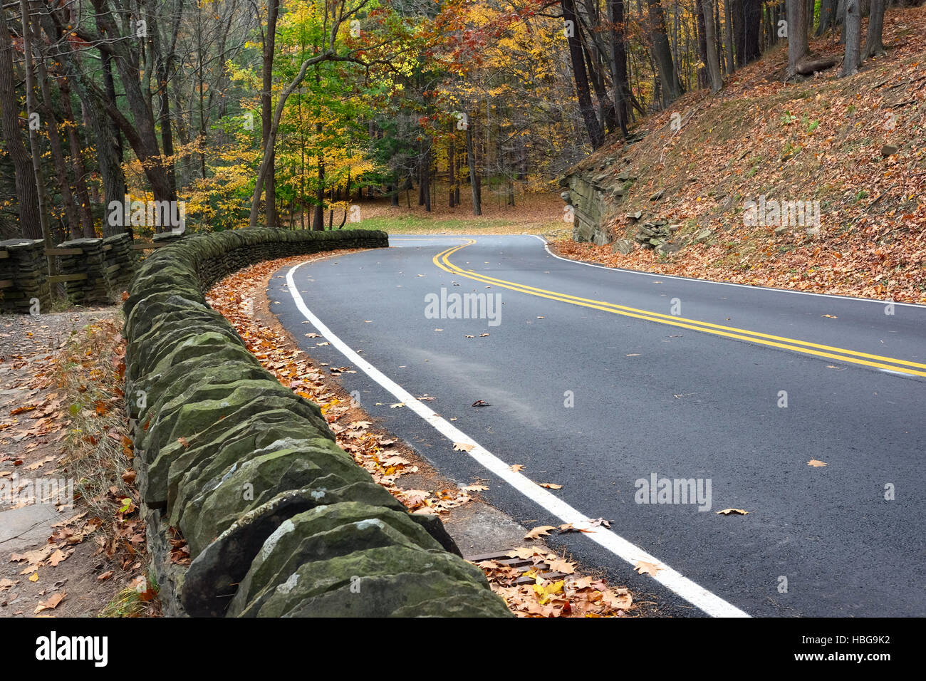 Autumn scene with road in forest Stock Photo - Alamy