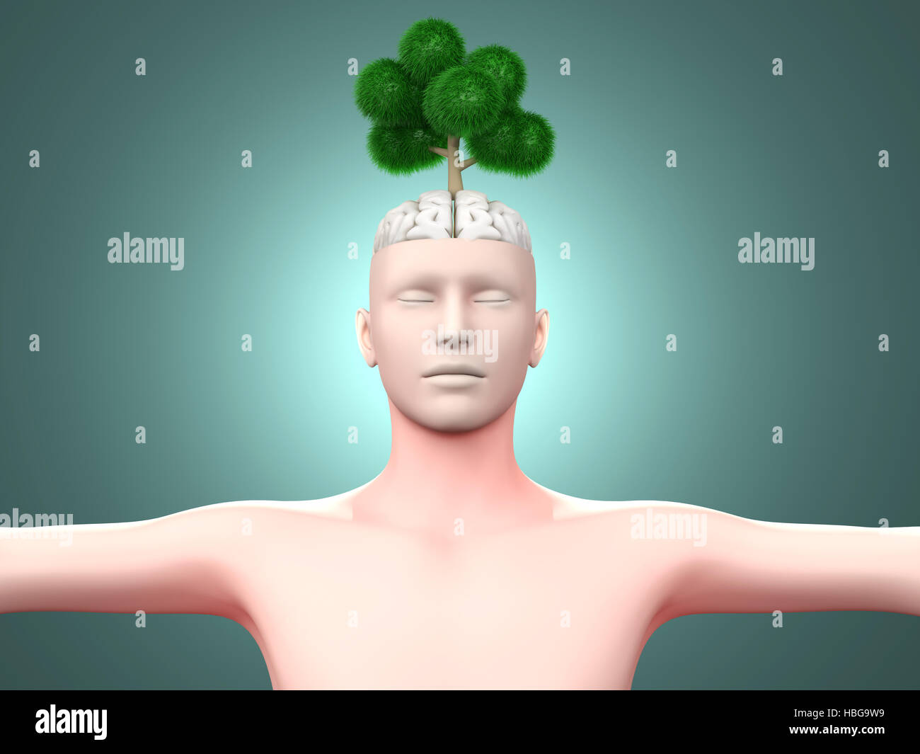 Green tree 3d clipart hi-res stock photography and images - Alamy