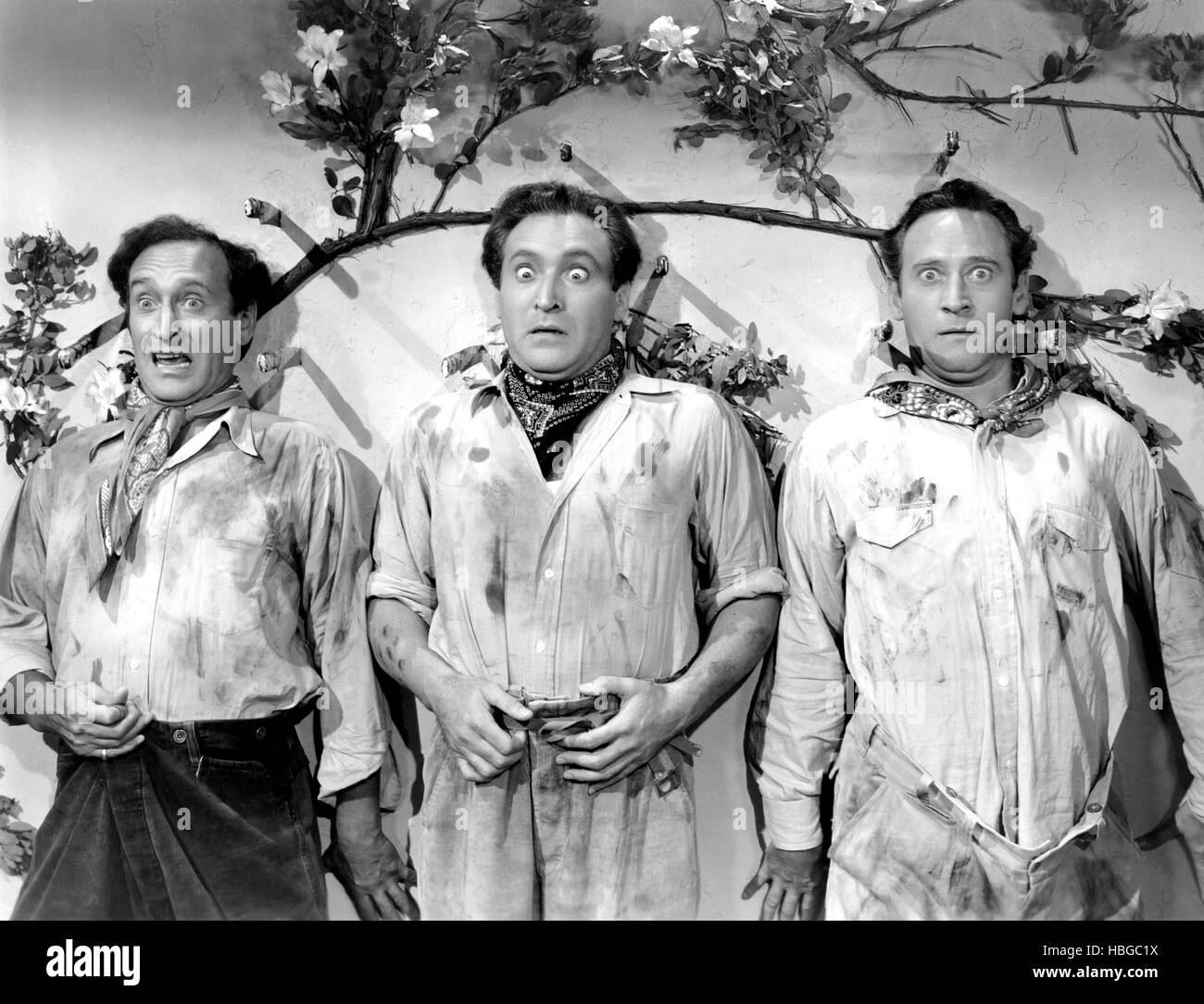 ARGENTINE NIGHTS, Jimmy Ritz, Harry Ritz, Al Ritz, 1940 Stock Photo - Alamy