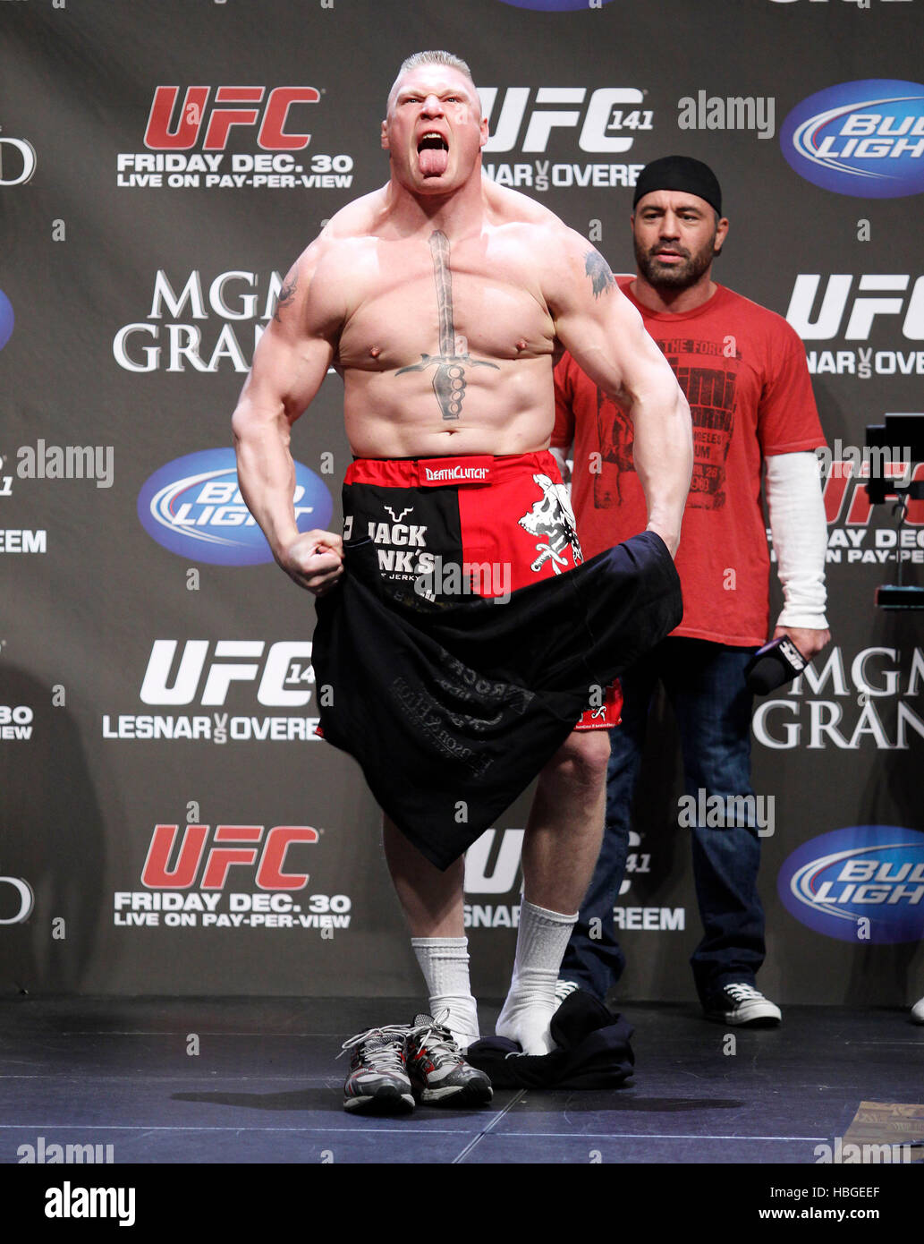 Ufc Fighters Brock Lesnar
