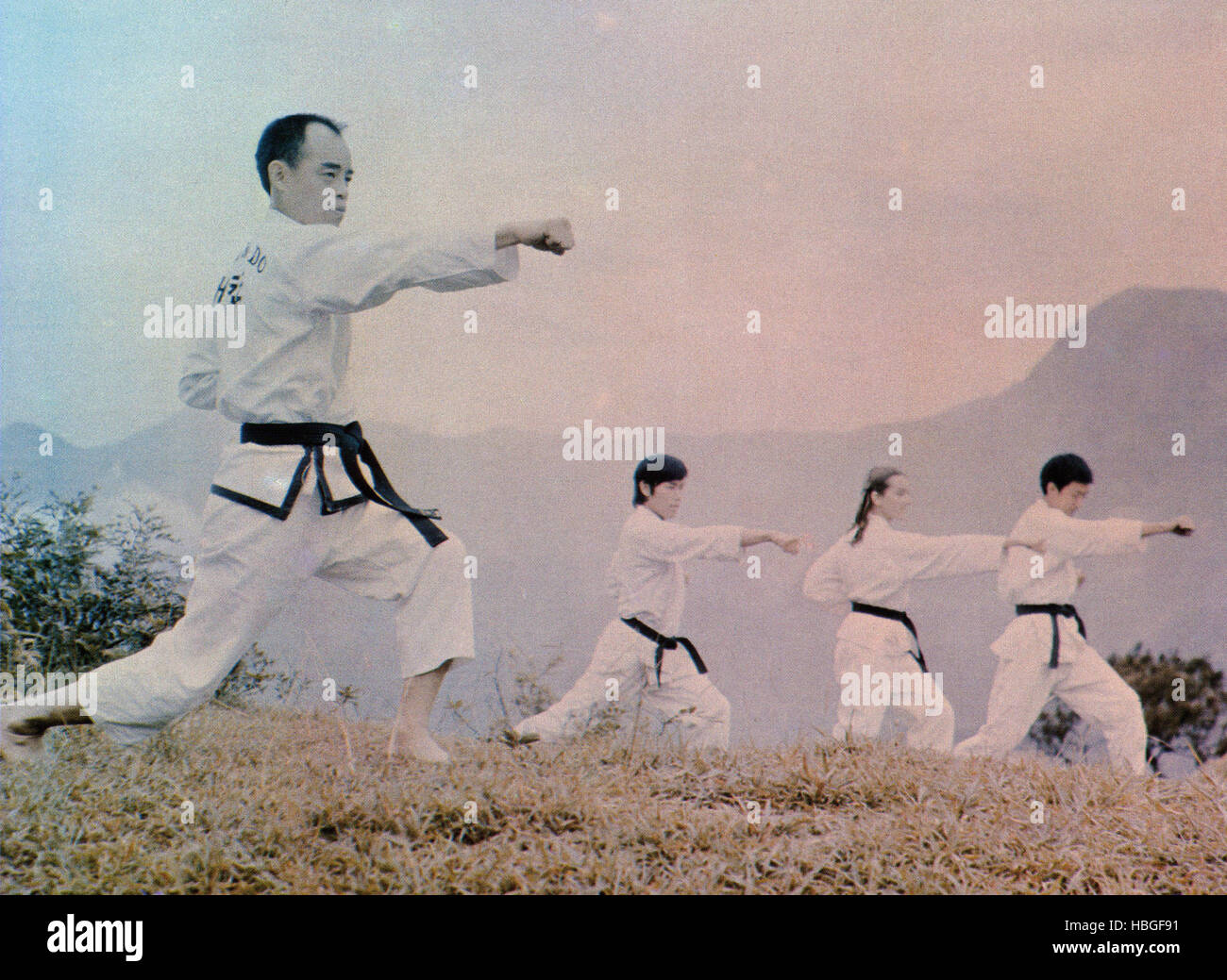 WHEN TAEKWONDO STRIKES, (aka TAI QUAN ZHEN JIU ZHOU, aka STING OF THE ...