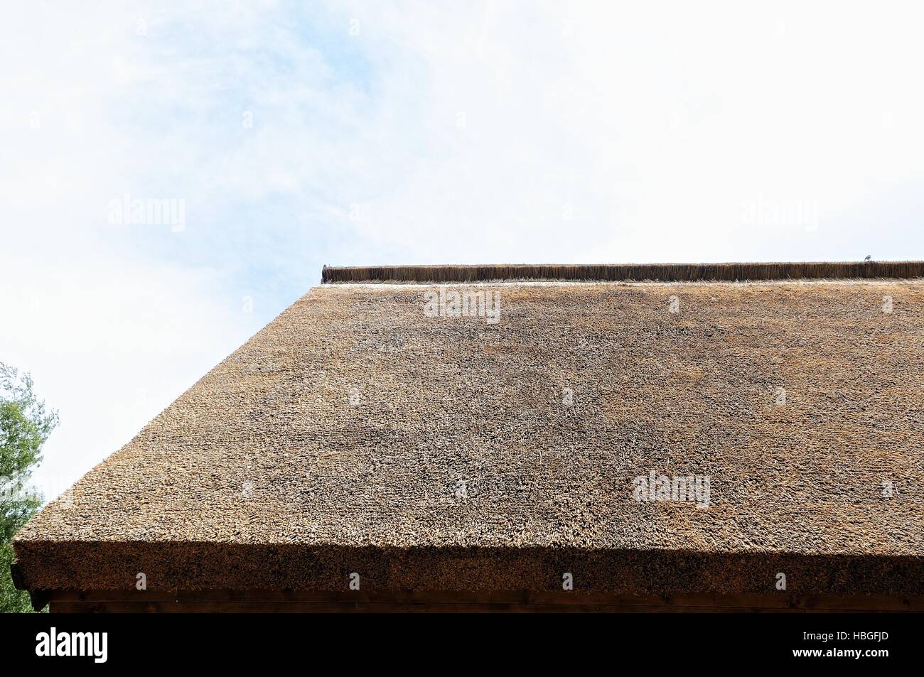 thatched roof new Stock Photo - Alamy