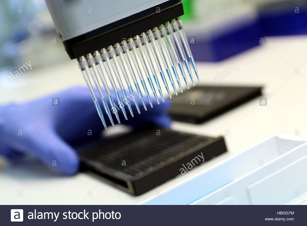 Multipipette Stock Photos & Multipipette Stock Images - Alamy
