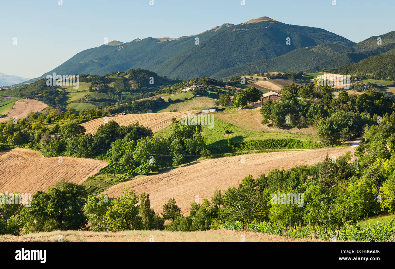 Hilly countryside hi-res stock photography and images - Alamy