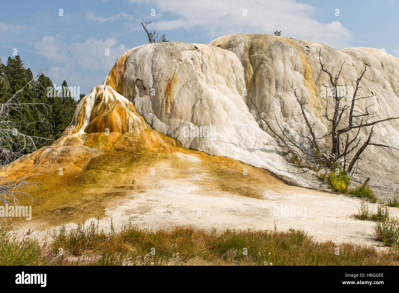Mound spring hi-res stock photography and images - Alamy