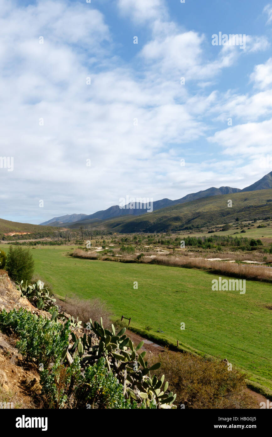 Green Landscape - Kareedouw Stock Photo - Alamy