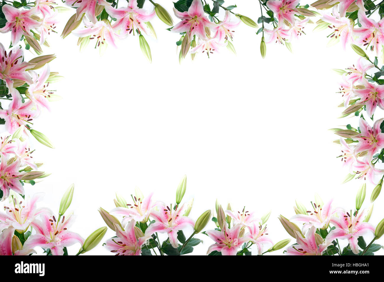 lily flowers composition frame Stock Photo - Alamy