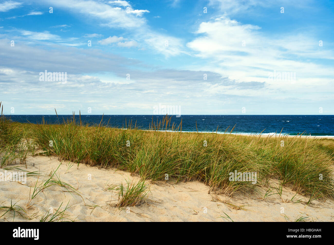 Landscape with sand dunes at Cape Cod Stock Photo - Alamy