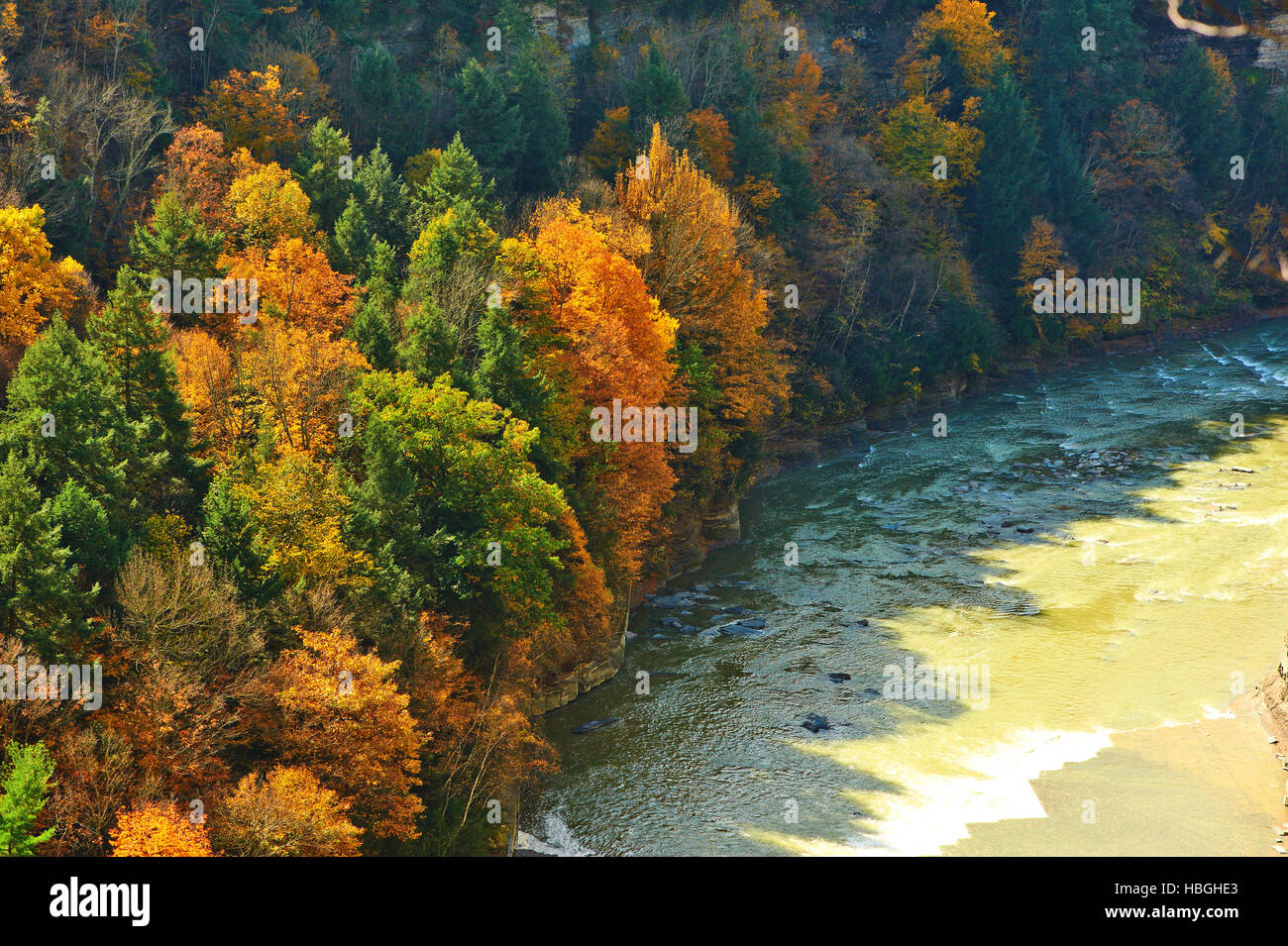 Autumn scene of river and forest Stock Photo - Alamy