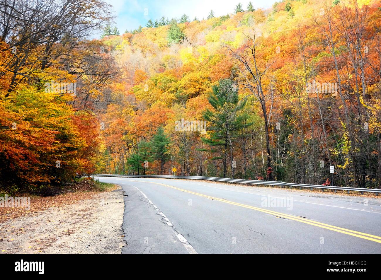 Autumn scene with road Stock Photo - Alamy