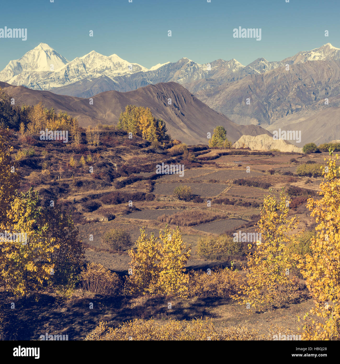 Empty fields after harvest Stock Photo - Alamy