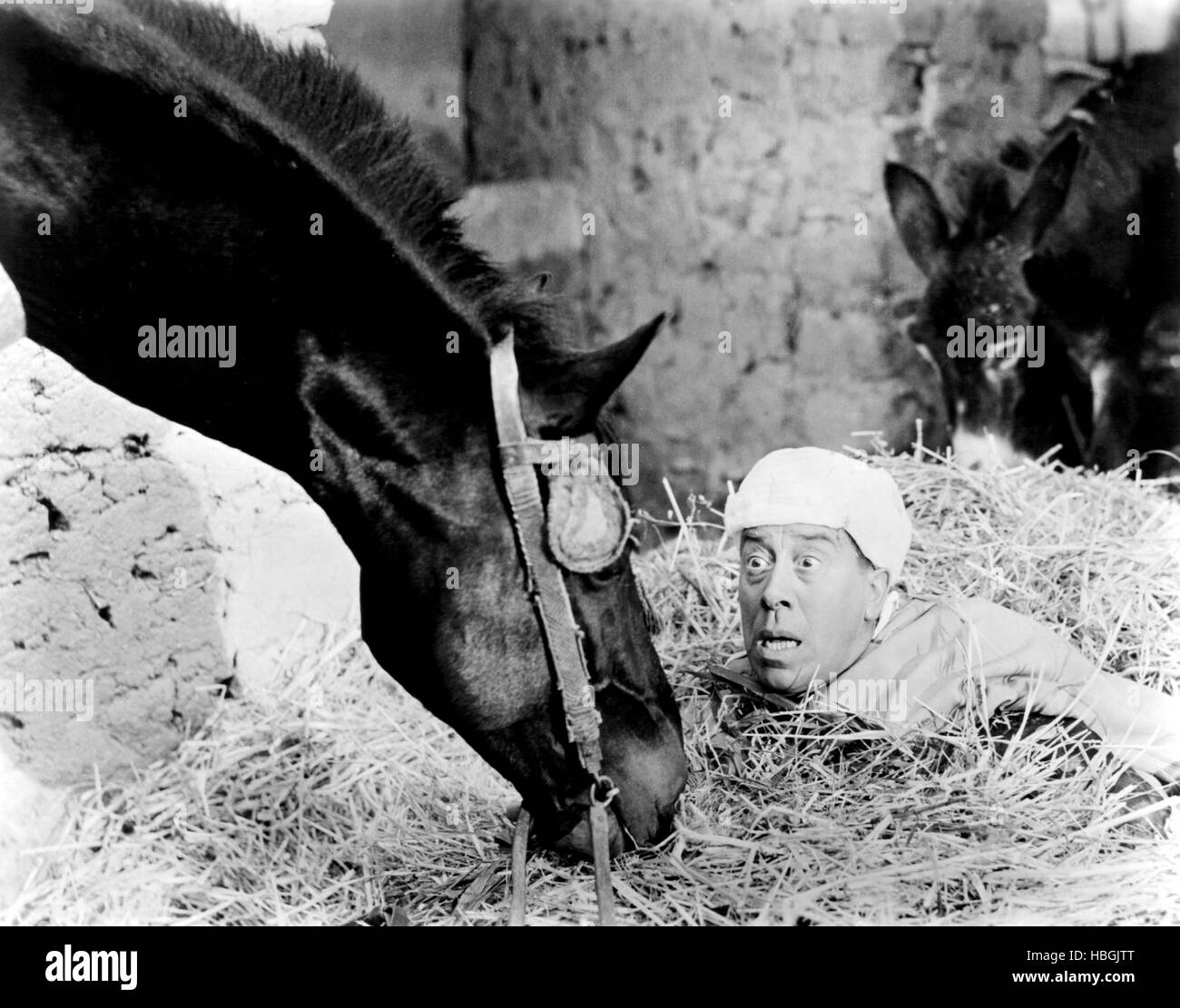 ALI BABA AND THE FORTY THIEVES, (aka ALI BABA ET LES QUARANTE VOLEURS ...