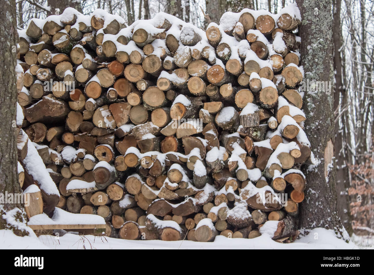 Stack of Firewood in Snow Stock Photo - Alamy