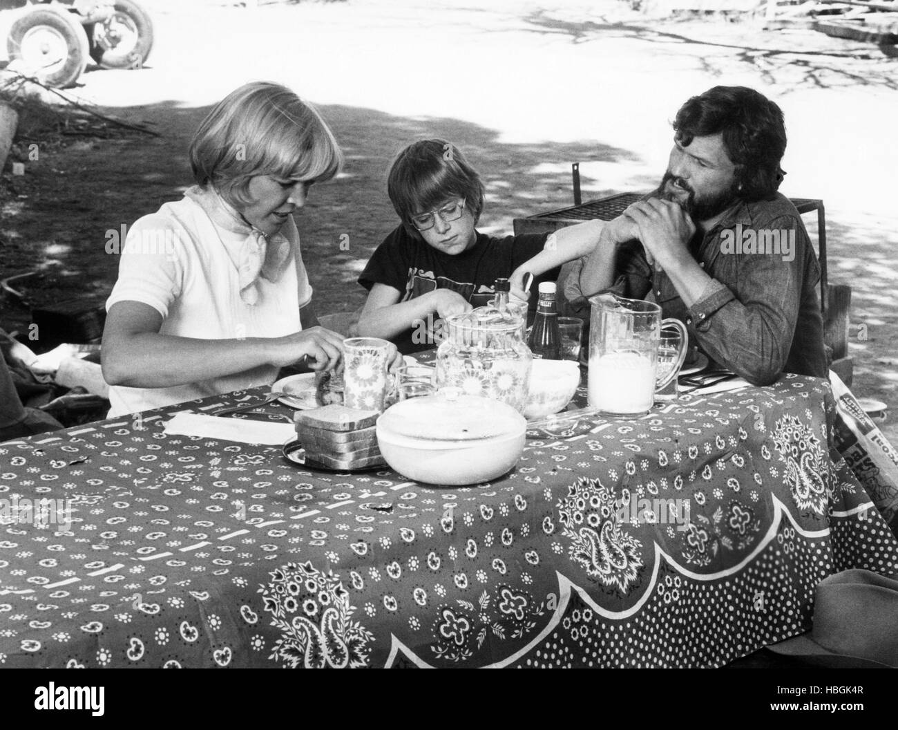 ALICE DOESN'T LIVE HERE ANYMORE, Ellen Burstyn, Alfred Lutter, Kris ...