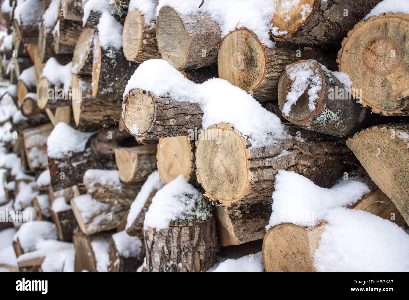 Stack of Firewood in Snow Stock Photo - Alamy
