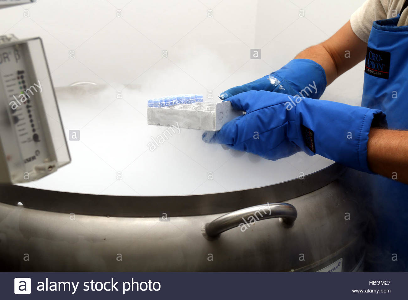 Liquid Nitrogen Stock Photos & Liquid Nitrogen Stock Images - Alamy