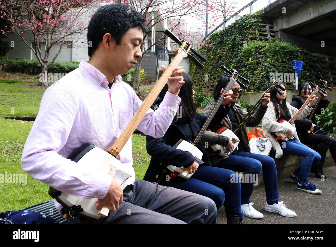 Japanese Traditional Musical Instrument High Resolution Stock ...