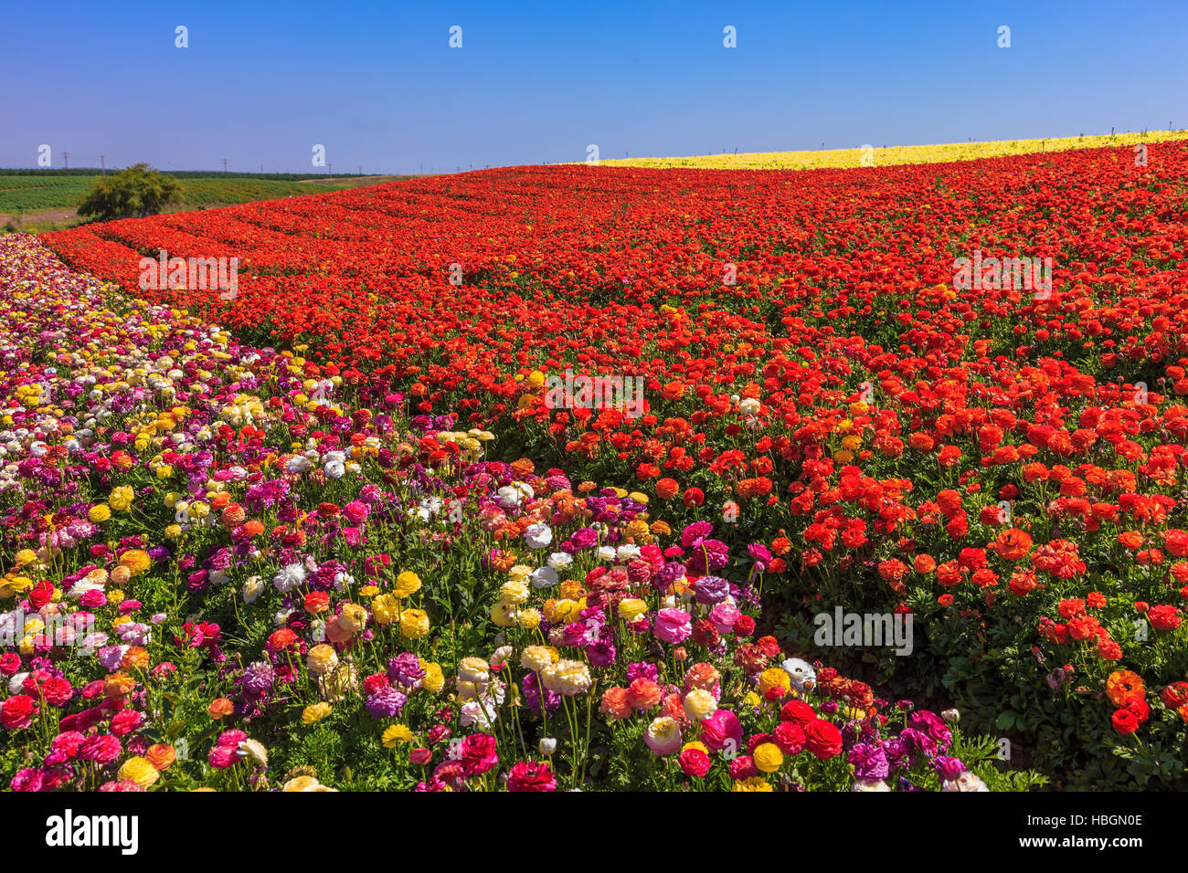 Warm work hi-res stock photography and images - Alamy