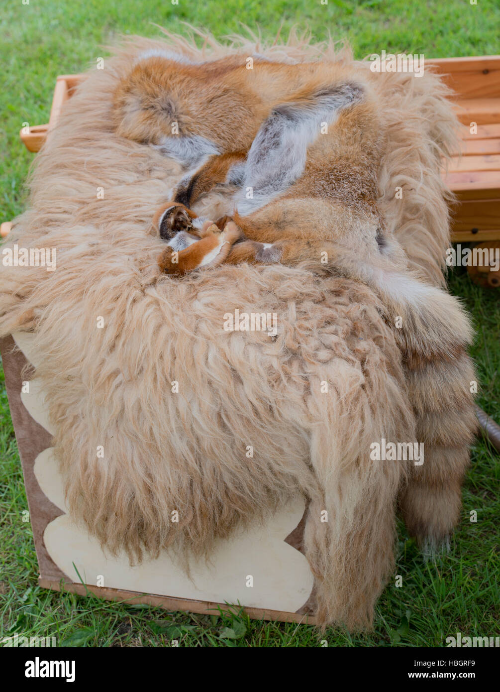 Sitting from hi-res stock photography and images - Alamy