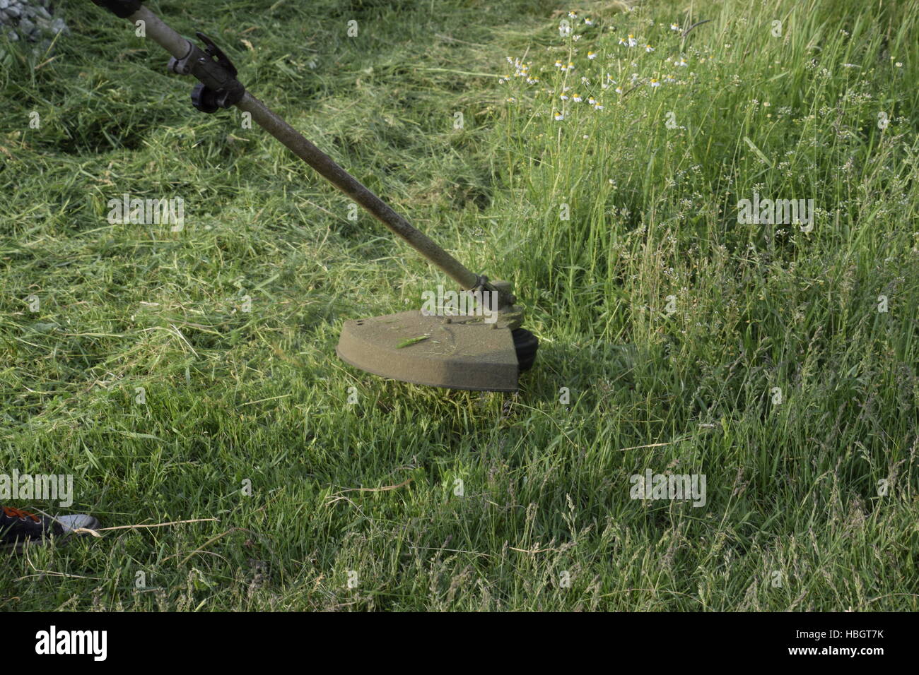 Mowing green grass using a fishing line trimmer Stock Photo - Alamy