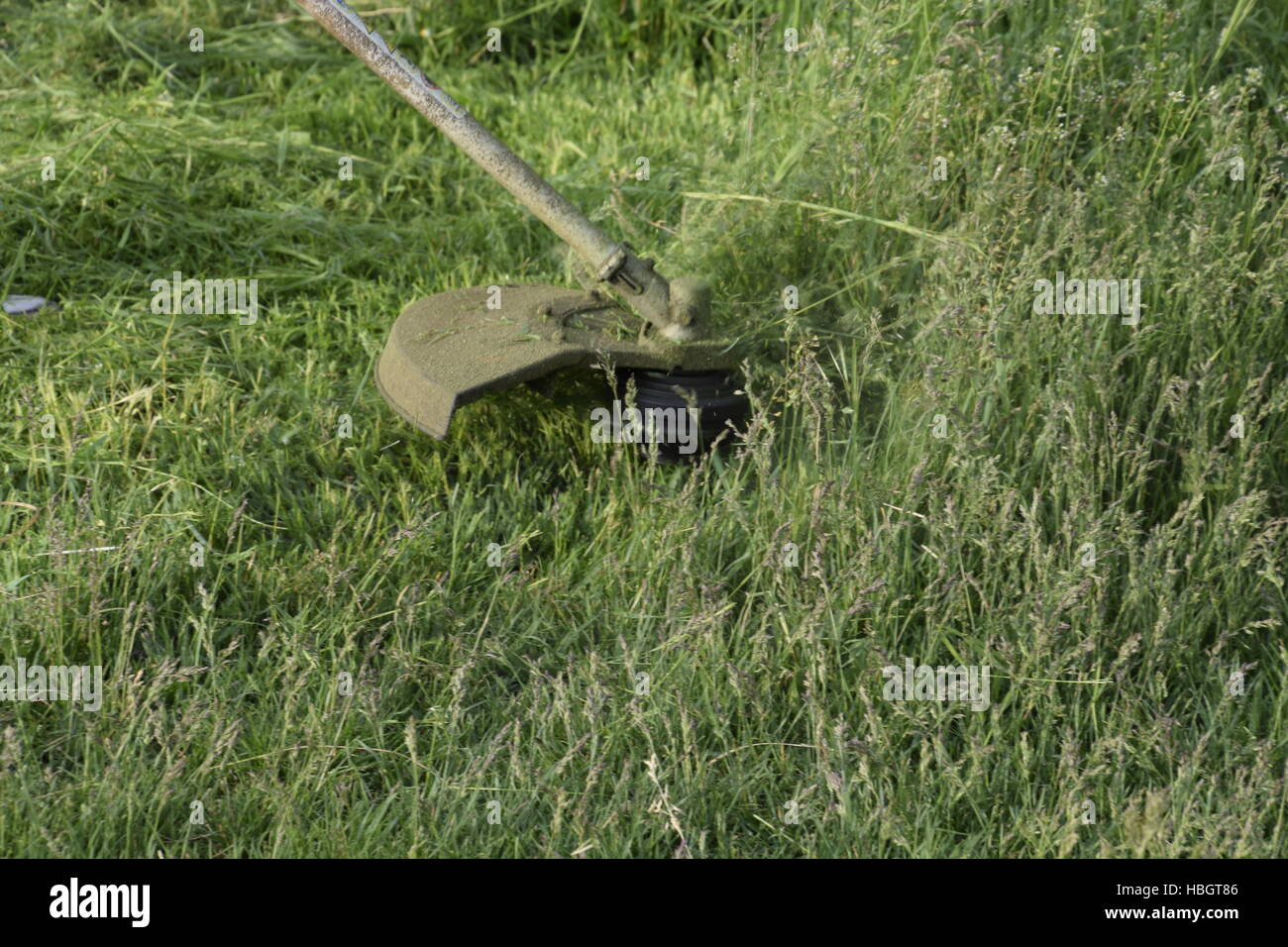 Mowing green grass using a fishing line trimmer Stock Photo - Alamy