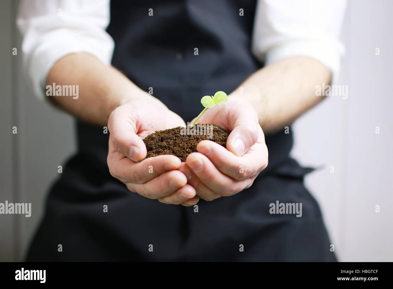 gardener hand sprout in palms Stock Photo - Alamy