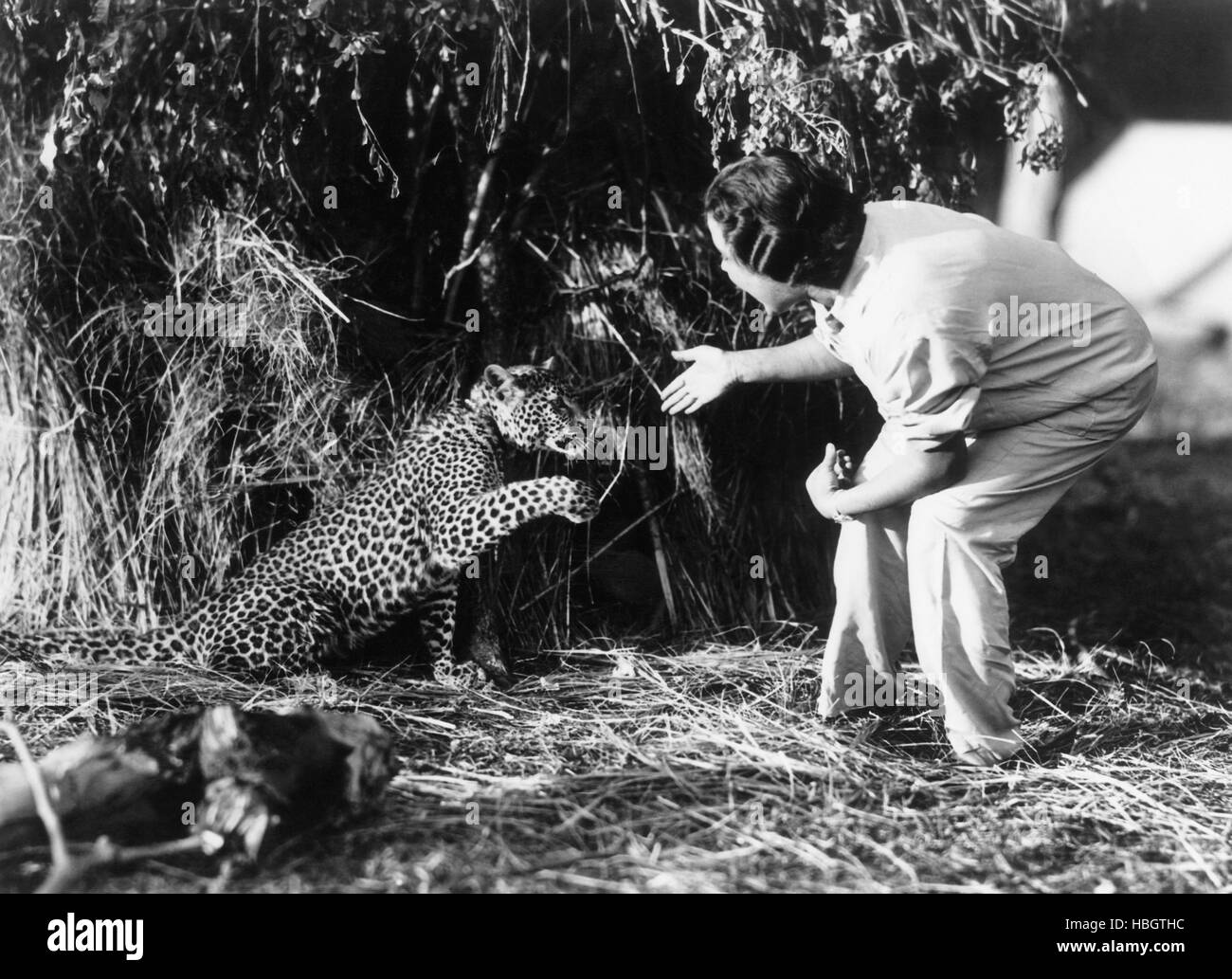 BABOONA, Osa Johnson, 1935, TM and copyright ©Fox Film Corp. All rights ...