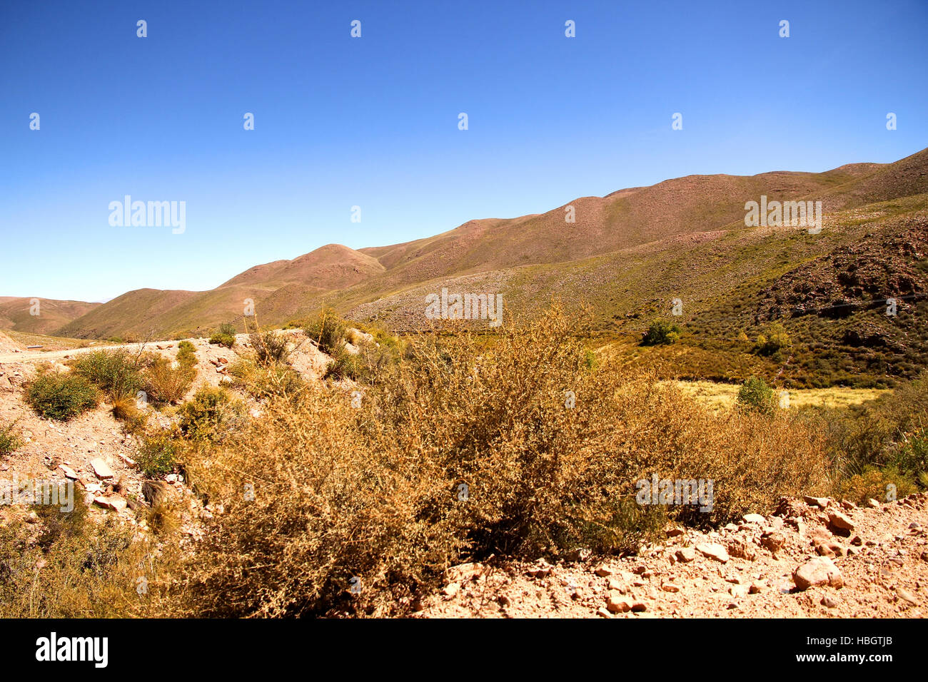 Landscape of Jujuy Stock Photo - Alamy