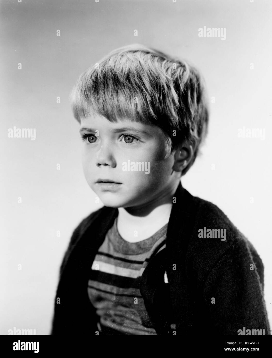 BACK FROM ETERNITY, Jon Provost, 1956 Stock Photo - Alamy