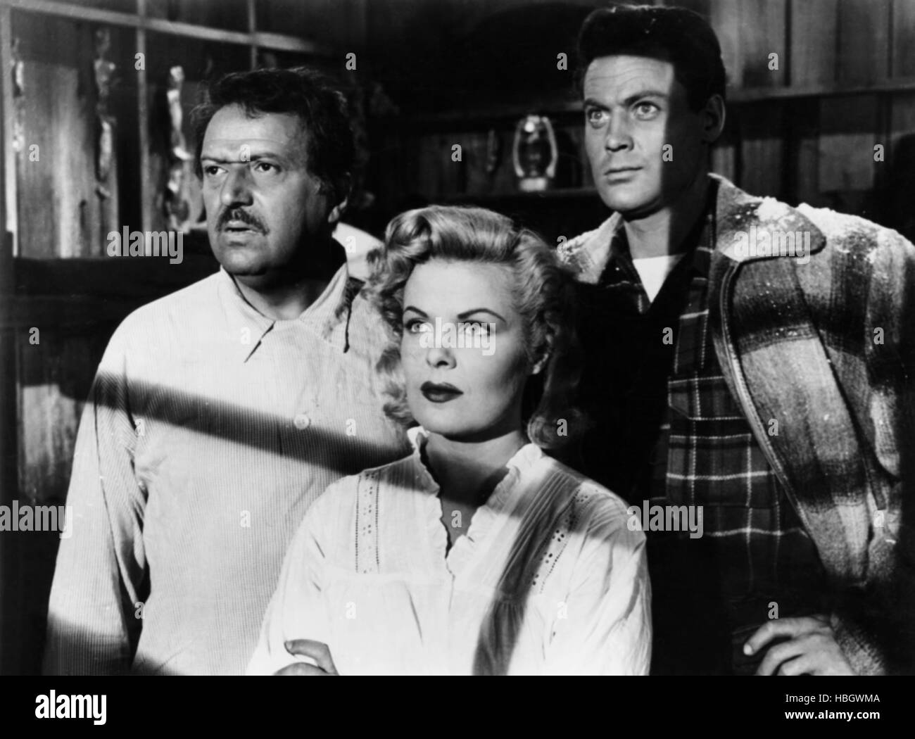 BAIT , from left: Hugo Haas, Cleo Moore, John Agar, 1954 Stock Photo ...