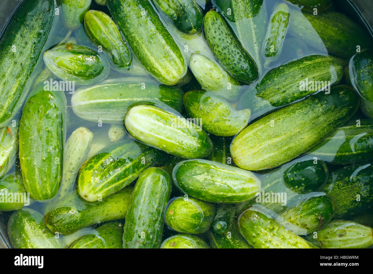 Cucumbers prepared for preservation Stock Photo - Alamy