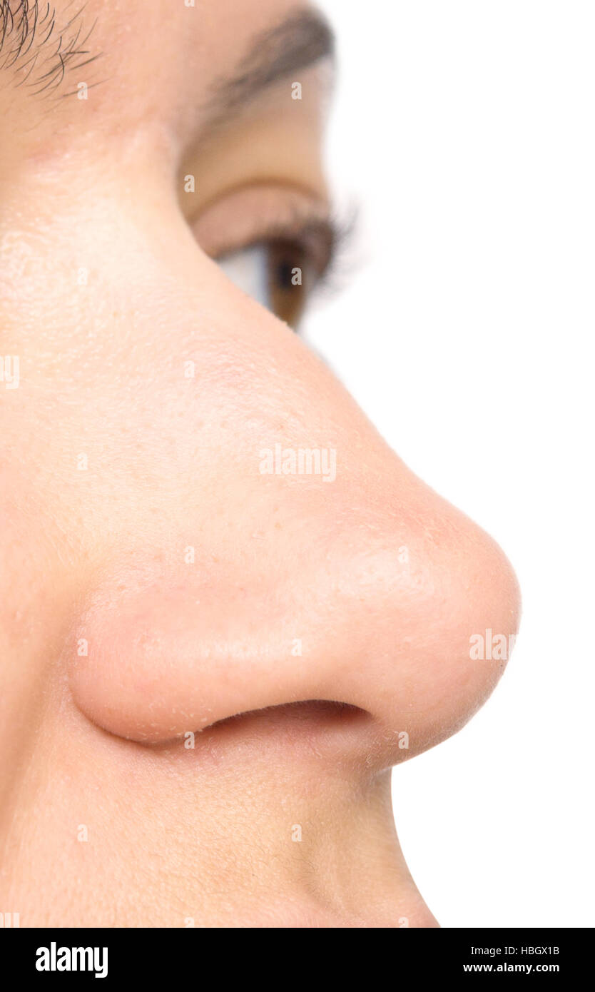Human Noses Profile