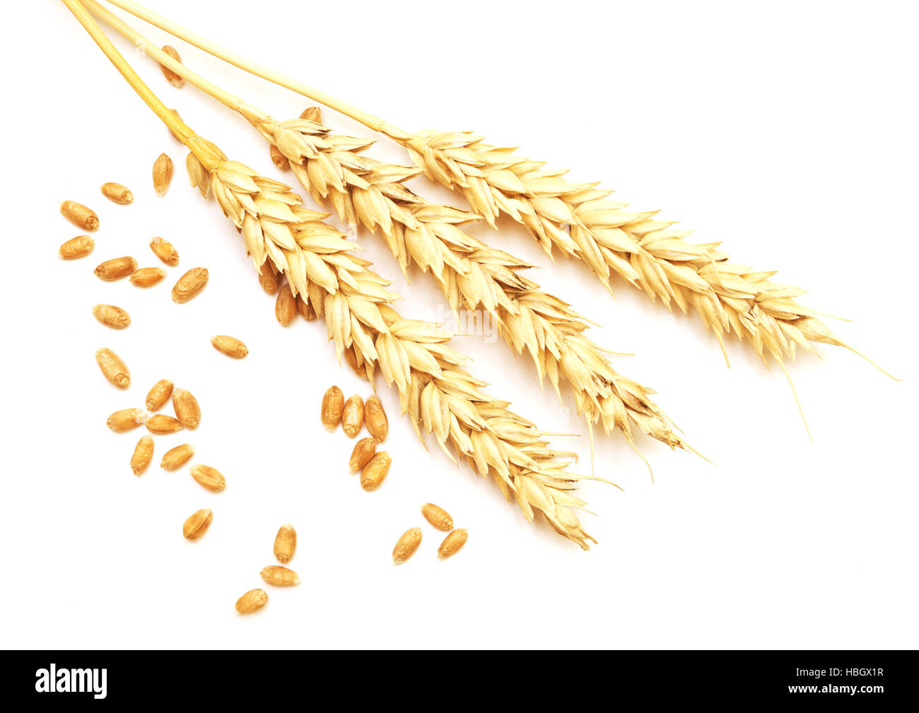 Wheat grains fall hi-res stock photography and images - Alamy