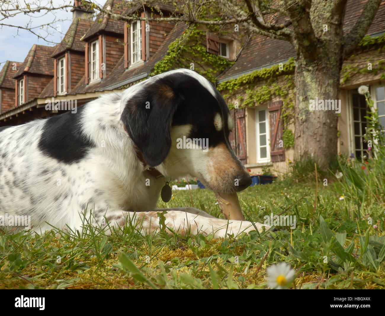 Hungry scenic hi-res stock photography and images - Alamy