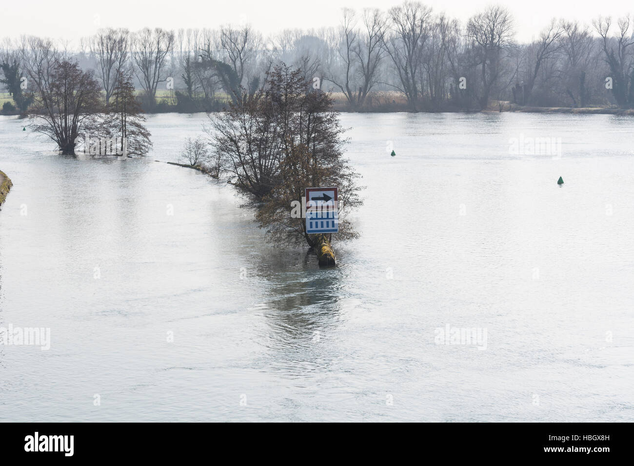 Flooded forest land, flood plain Stock Photo - Alamy
