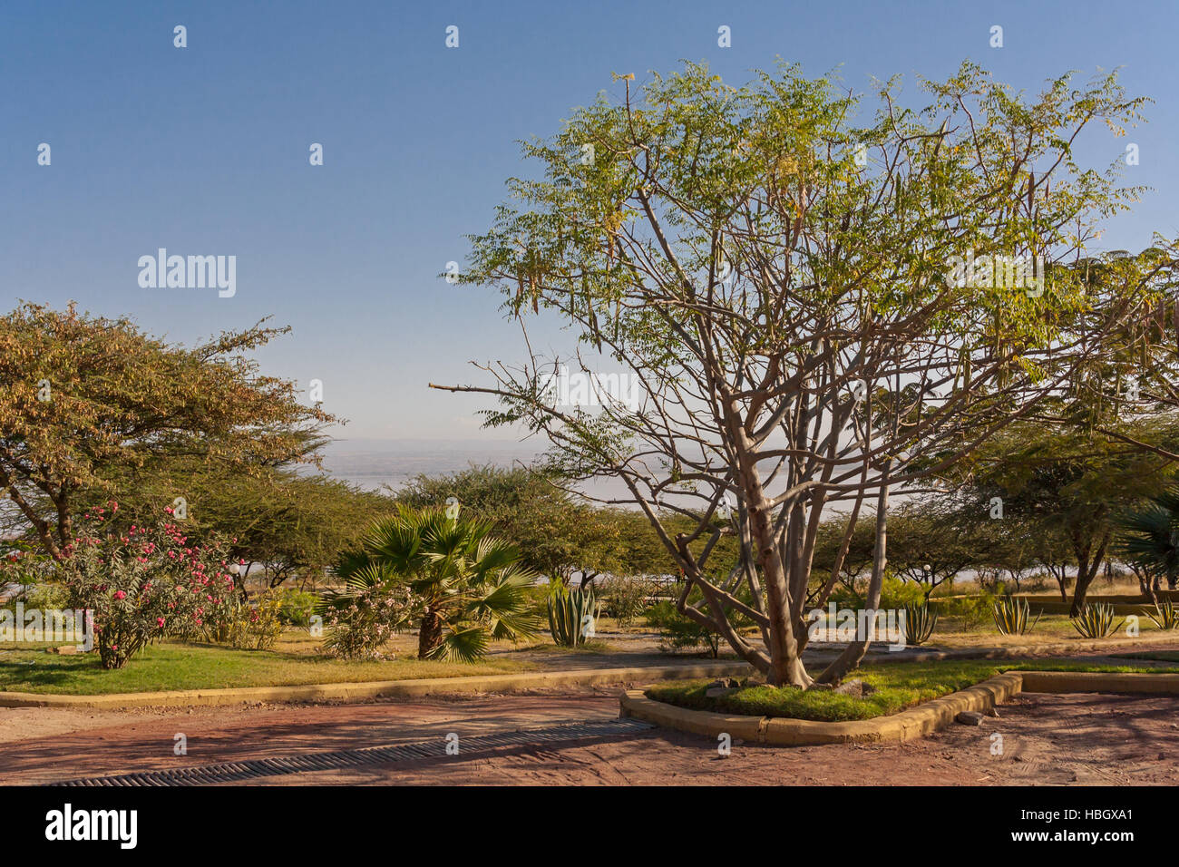 Langano hi-res stock photography and images - Alamy