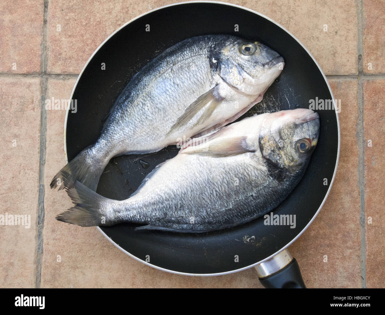 Dourada hi-res stock photography and images - Alamy